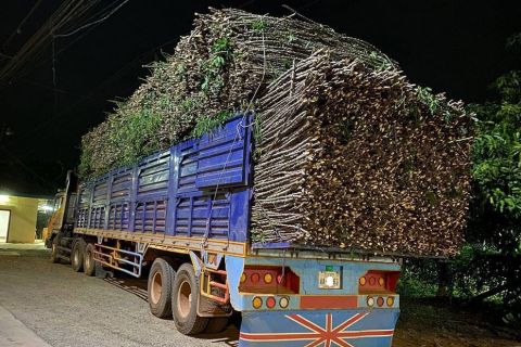 Overloaded Vehicles S.A Transport Department Steps Up Crackdown On