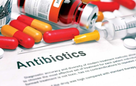 Antibiotic programme under development for students, pharmacists | The ...