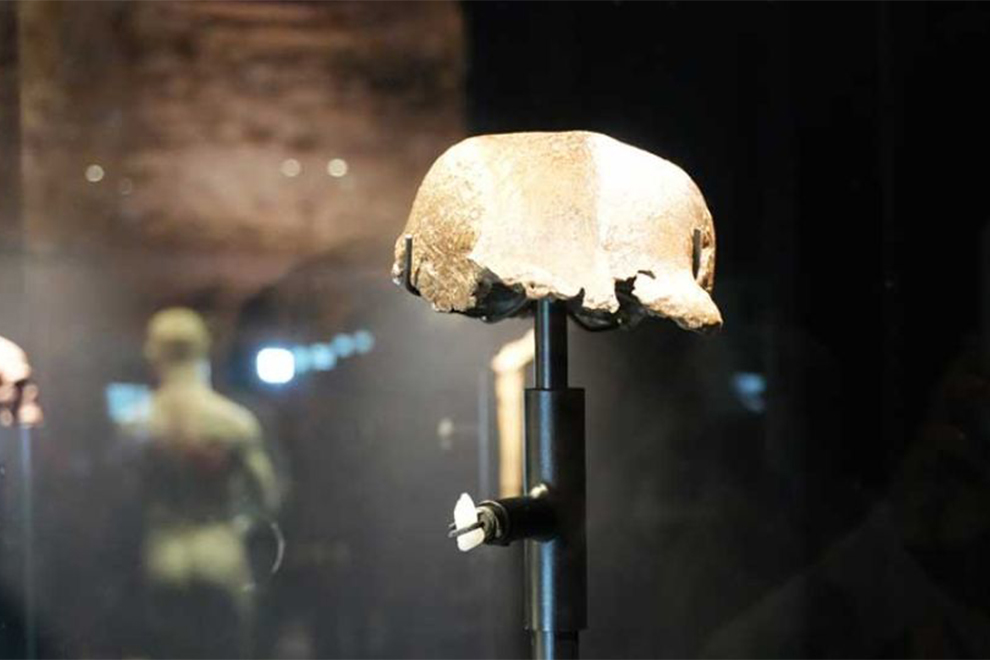 The Phnom Penh Post | Home at last: ‘Java Man’ fossils anchor new ...