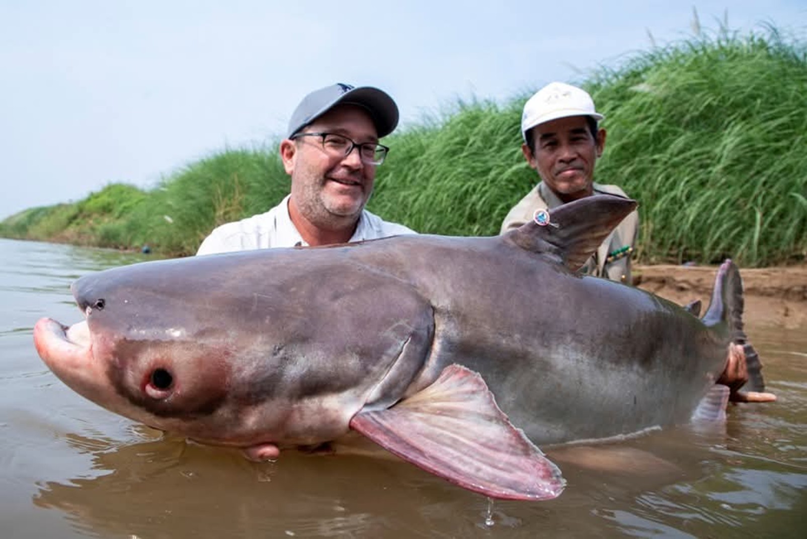 Conservationists return rare species to the Mekong | The Phnom Penh Post