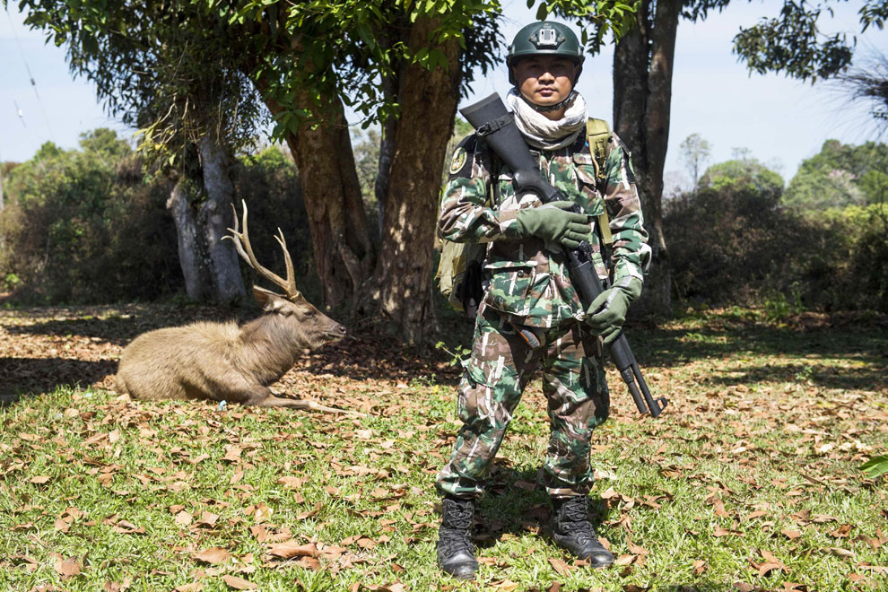 In lush Thai national park, forest rangers train to stamp out crime ...
