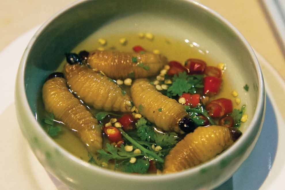 Grubs up! The restaurant serving up wriggle-in-your-mouth delights ...