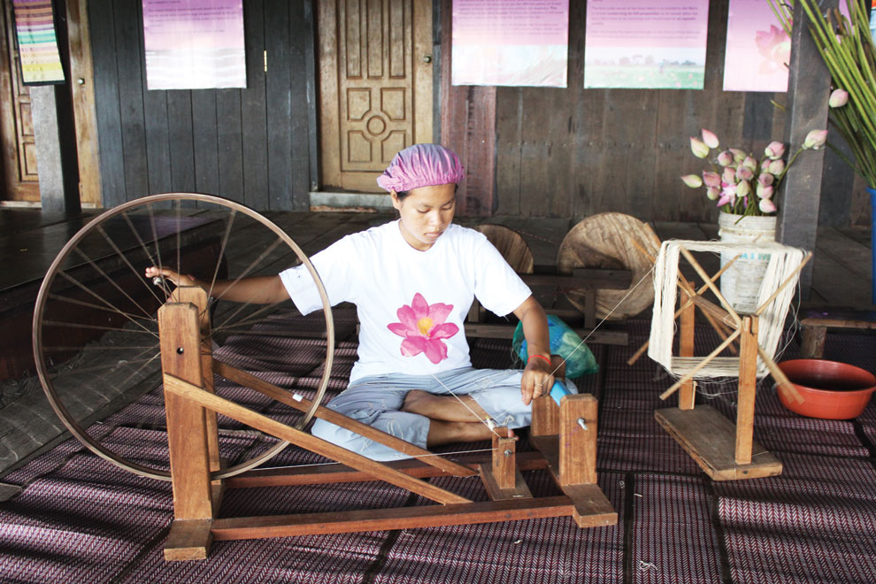 New lotus flower farm opens near town | Phnom Penh Post