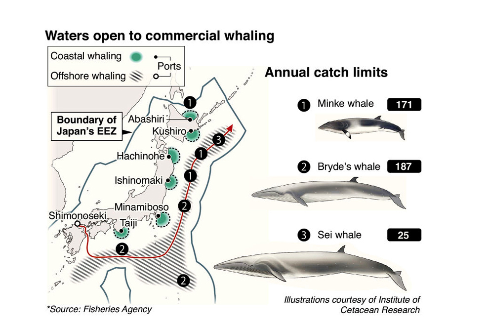 Japanese businesses hopeful appetite for whale meat recovers | The ...