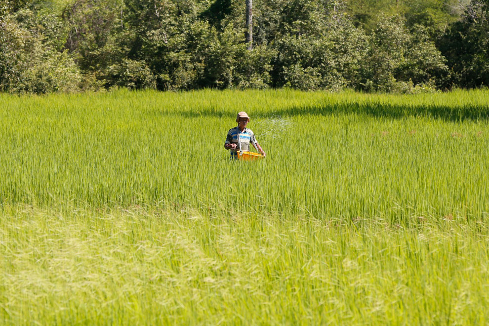 Ministry Intensifies Fight Against Illegal Pesticides Phnom Penh Post