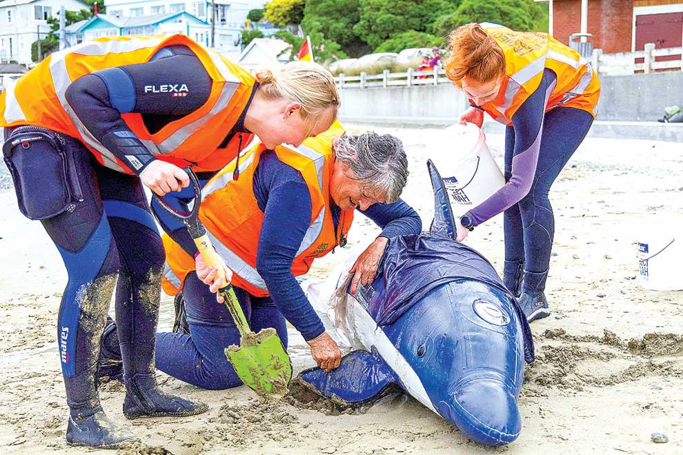 The Phnom Penh Post | Rubber whale helps rescuers battle beachings