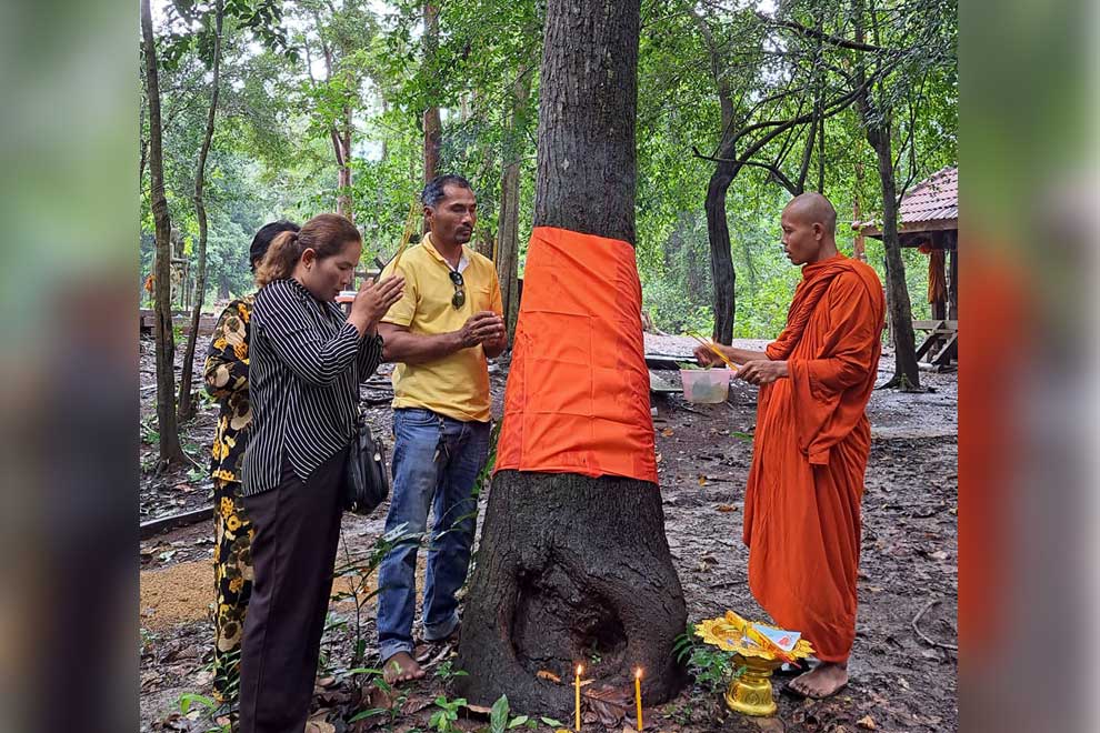 Ex-illegal logger joins forest protection fight | Phnom Penh Post