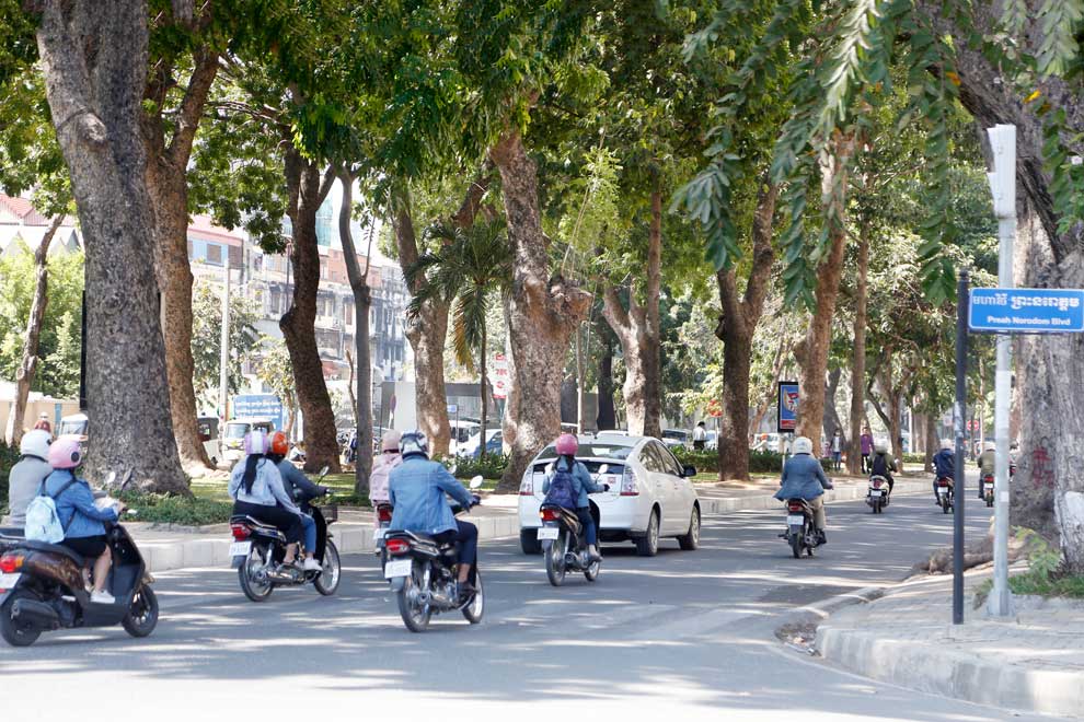 Centuries-old trees saved | The Phnom Penh Post