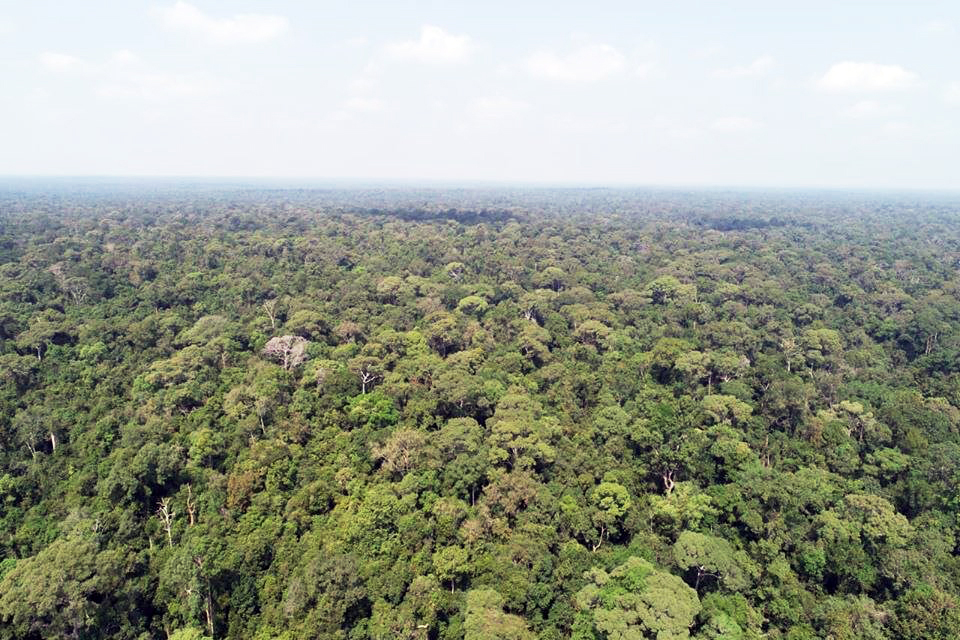 USAID, gov’t to release report on Prey Lang | Phnom Penh Post