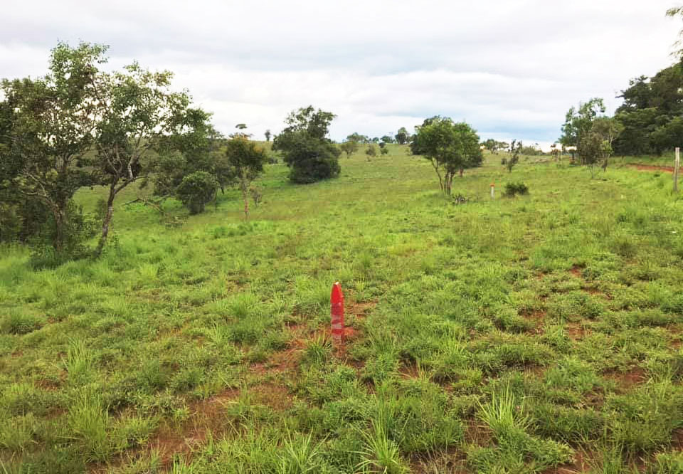 The Phnom Penh Post | Bunong ask gov’t to remove land markers