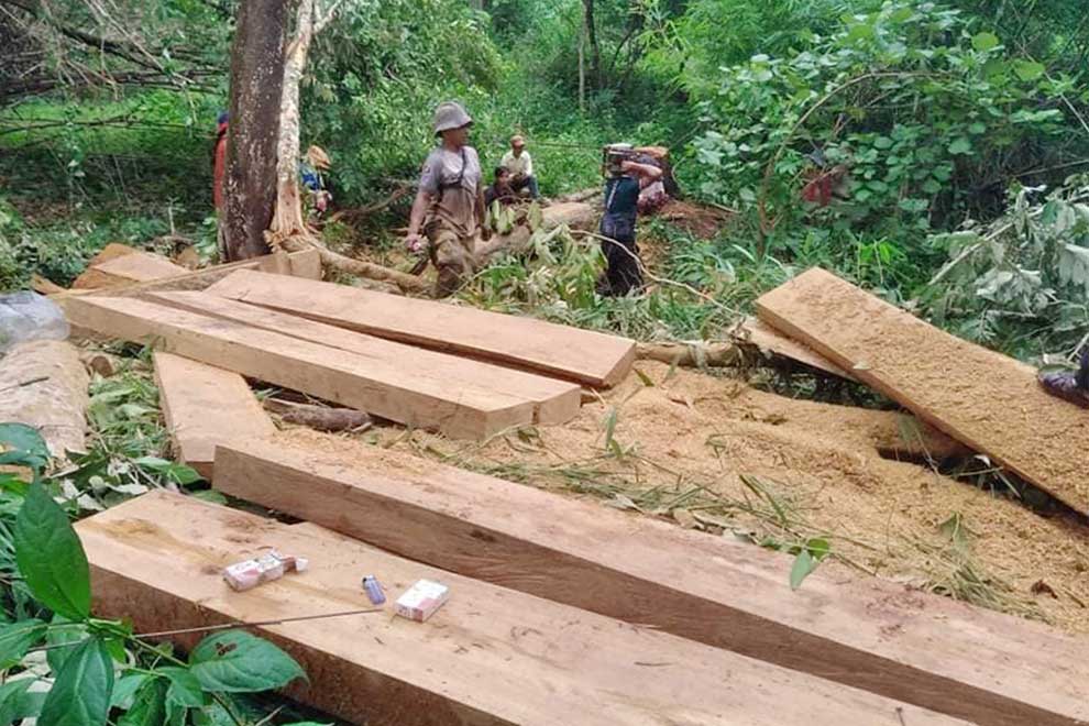 The Phnom Penh Post | Police visit Phnum Prech to inspect logging