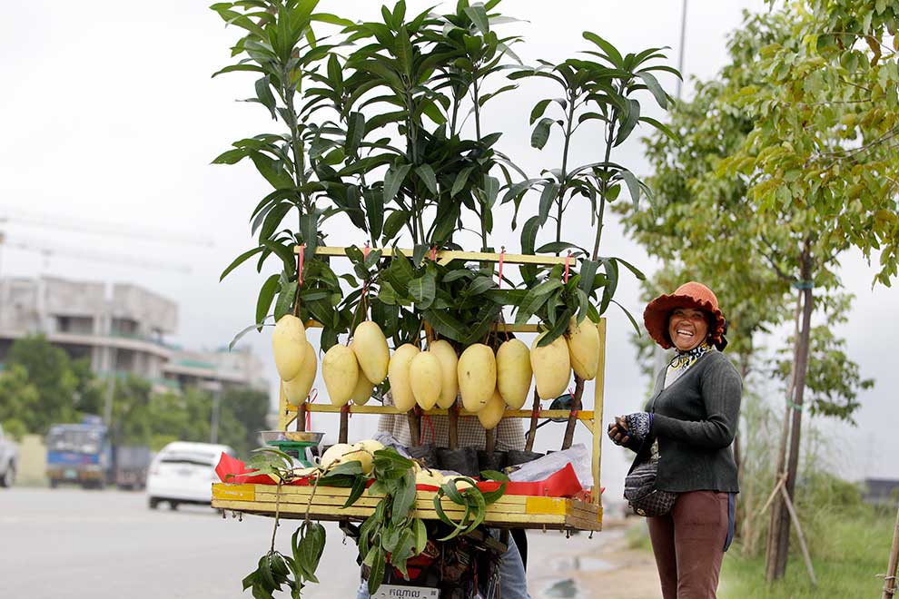The Phnom Penh Post | Rains, volatile prices eat into Jan-Oct fresh ...