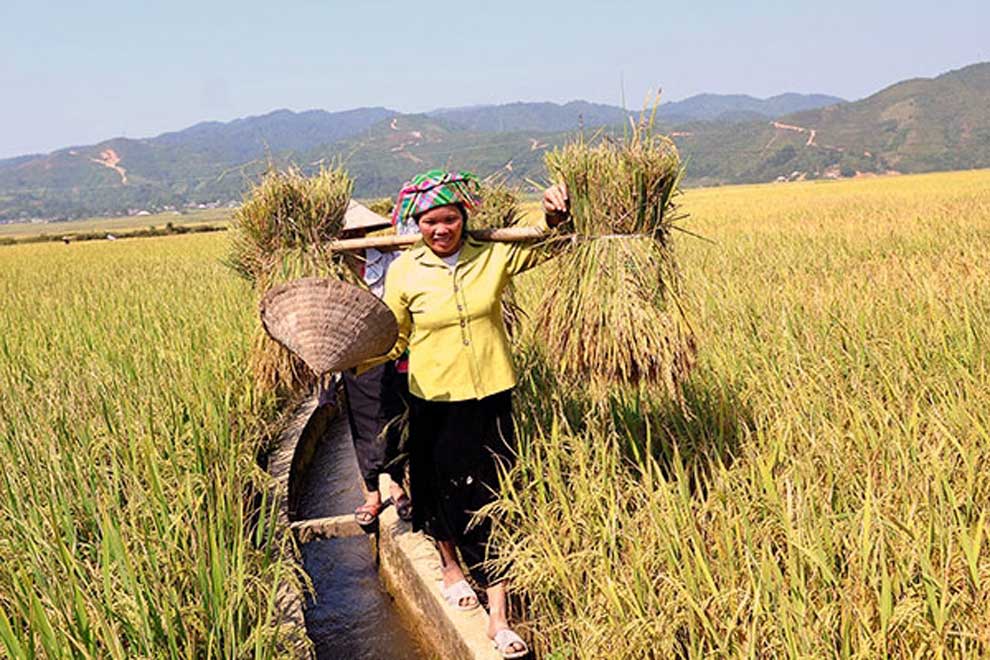 The Phnom Penh Post | Vietnamese PM agrees on new national poverty line ...