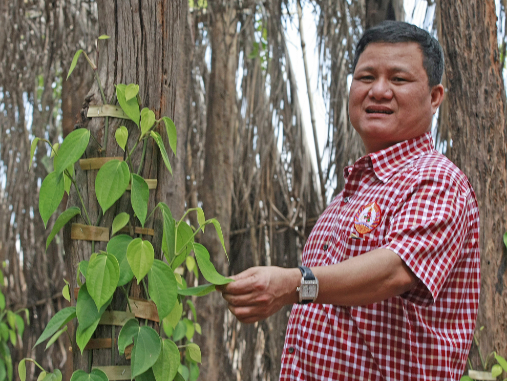 Try Pheap denies logging park | The Phnom Penh Post